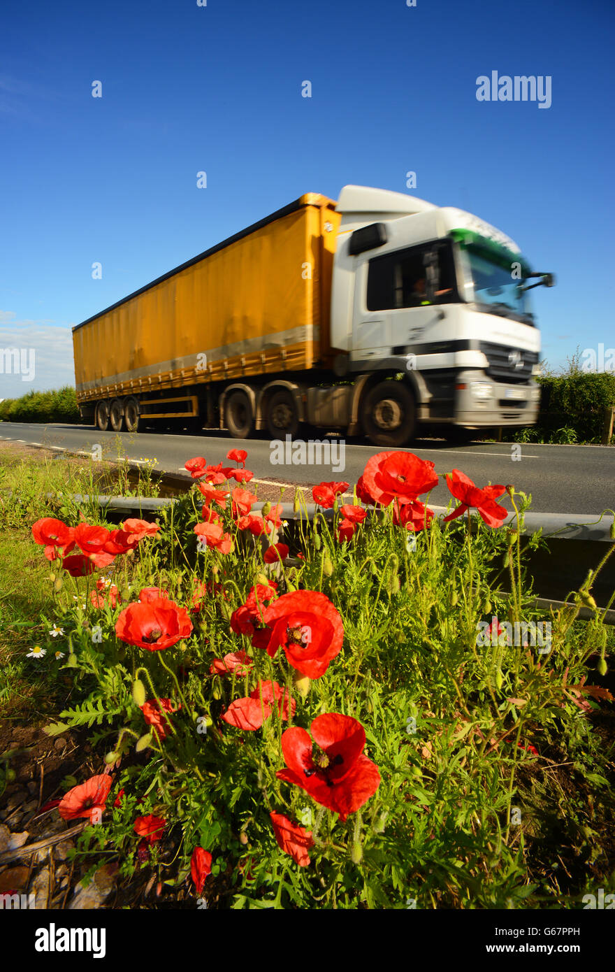lorry passing roadside poppies at bubwith yorkshire united kingdom ...