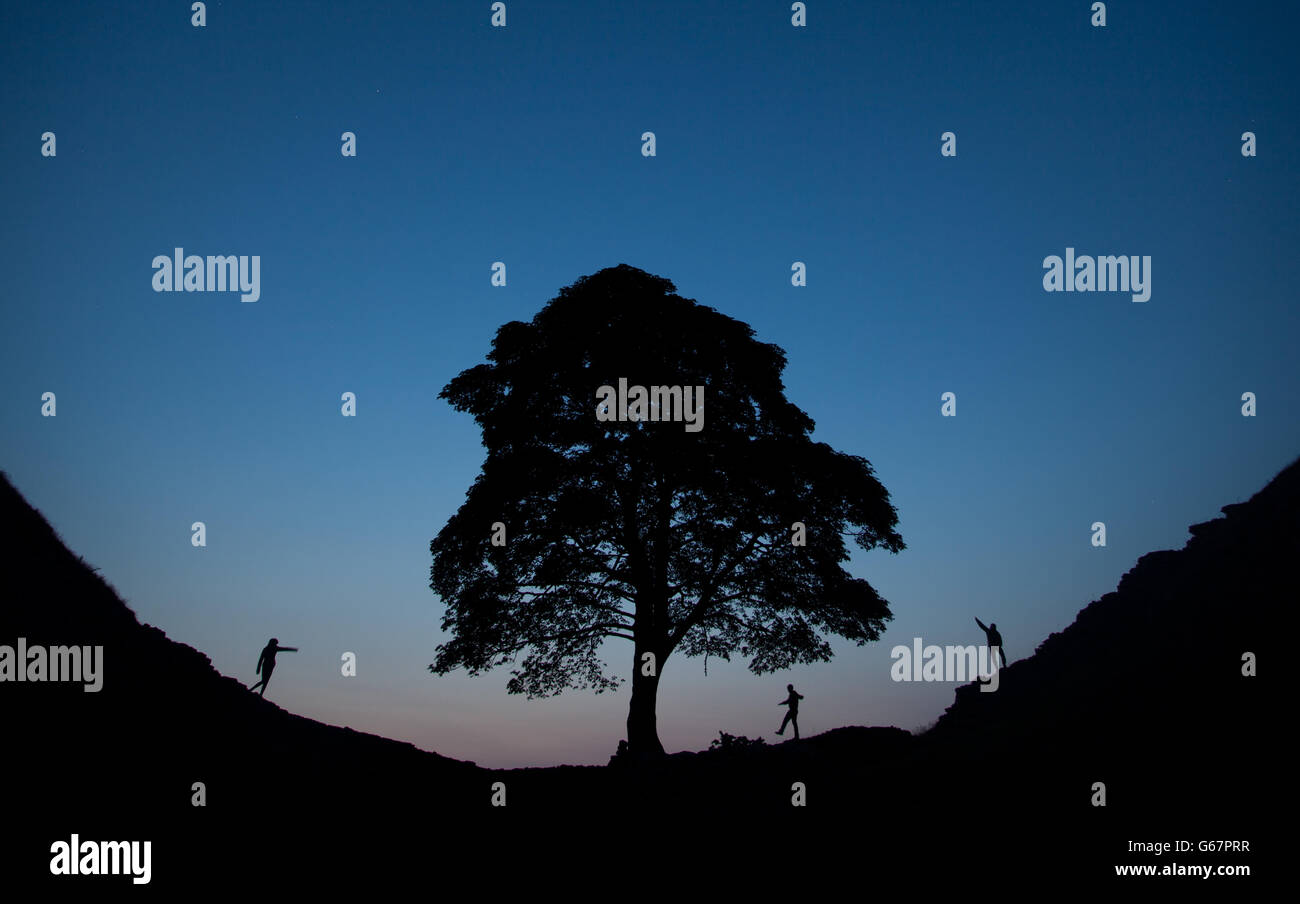 Sycamore gap at night hi-res stock photography and images - Alamy