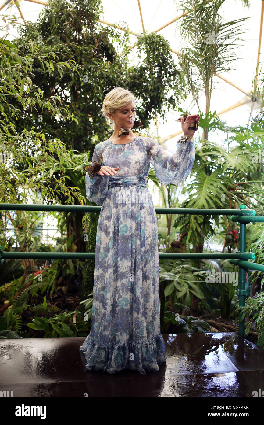 RHS Hampton Court Palace Flower Show 2013 Stock Photo - Alamy