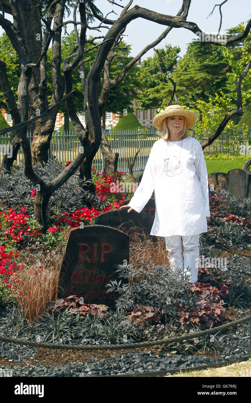 Susan hampton hi-res stock photography and images - Alamy