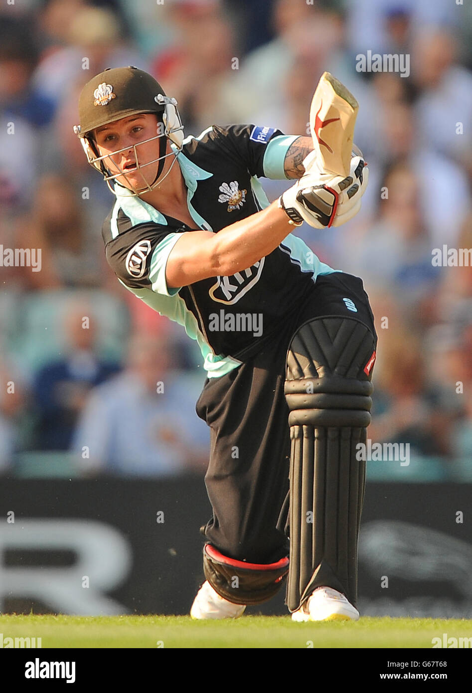 Surrey v middlesex panthers hi-res stock photography and images - Alamy