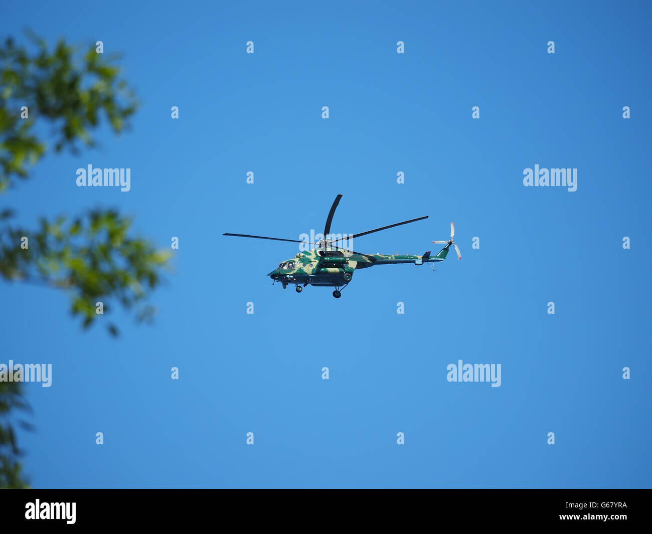 helicopter flies over the forest Stock Photo - Alamy