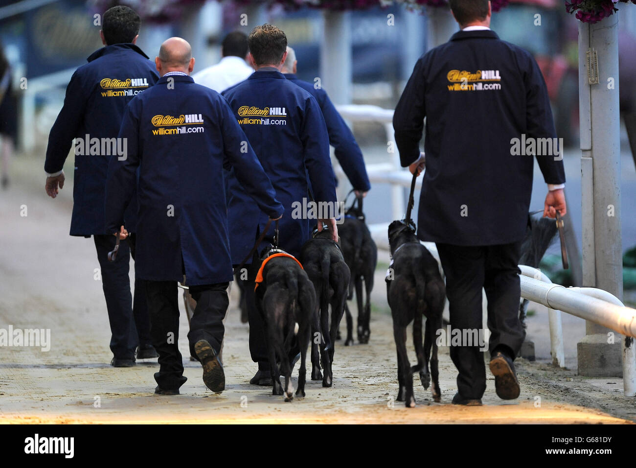 Greyhound Racing - William Hill Derby - Final - Wimbledon Stadium. Dogs ...