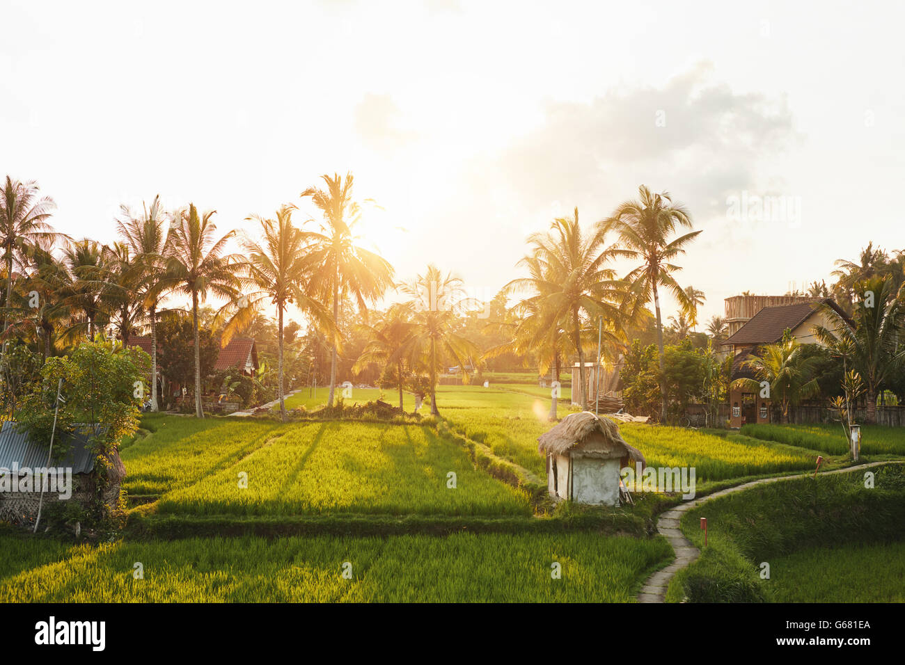 Bright tree village hi-res stock photography and images - Alamy