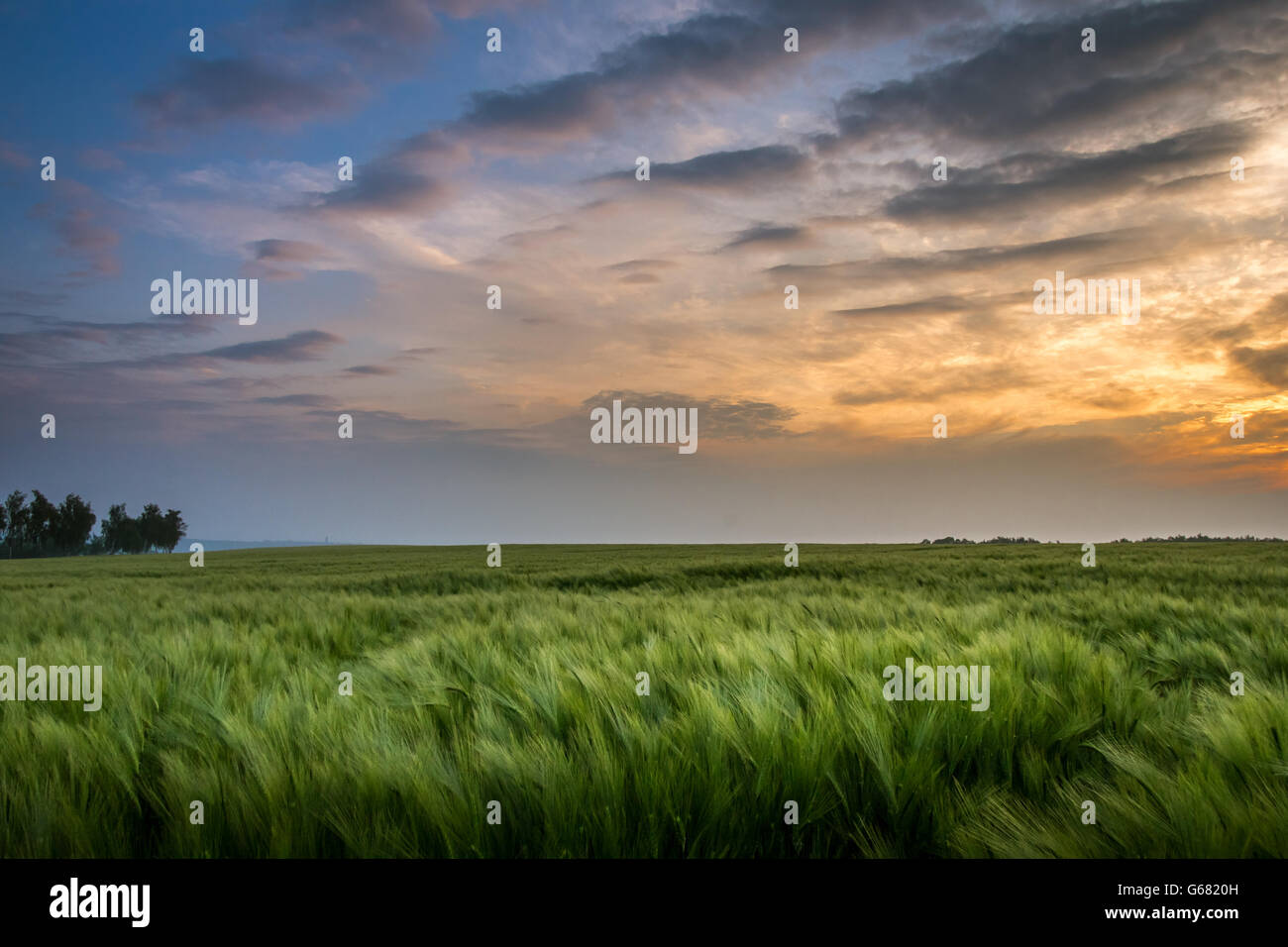 Rural landsape with beautiful sunset - Saxony, Germany Stock Photo - Alamy