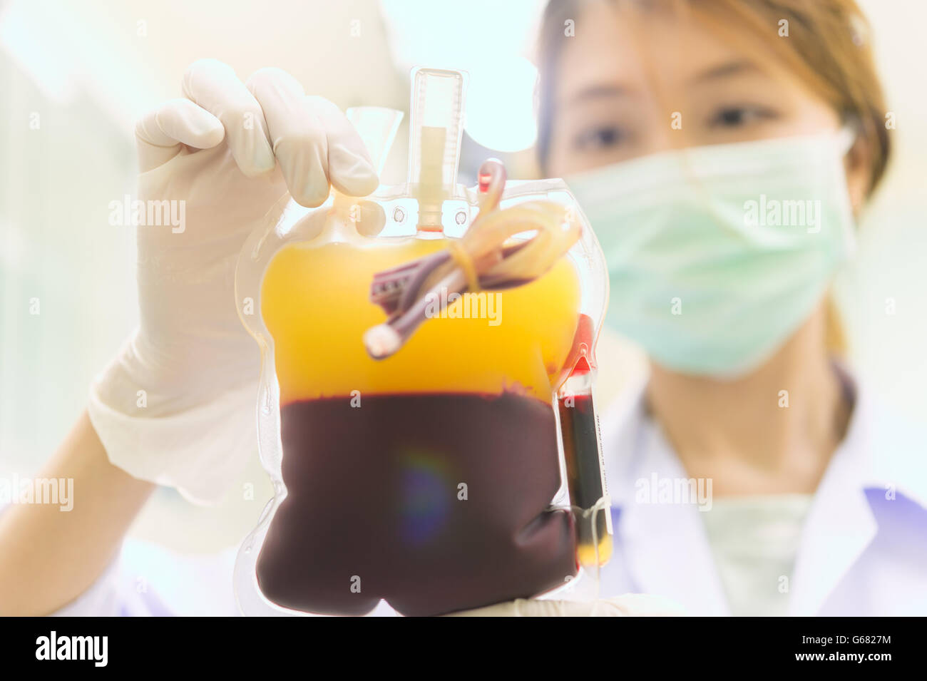 Bag of Blood in hand asian woman Doctor Stock Photo - Alamy