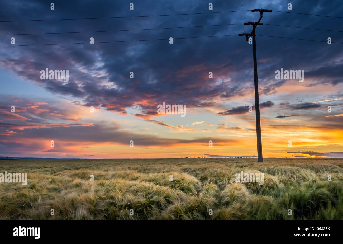 Rural landsape with beautiful sunset - Saxony, Germany Stock Photo - Alamy