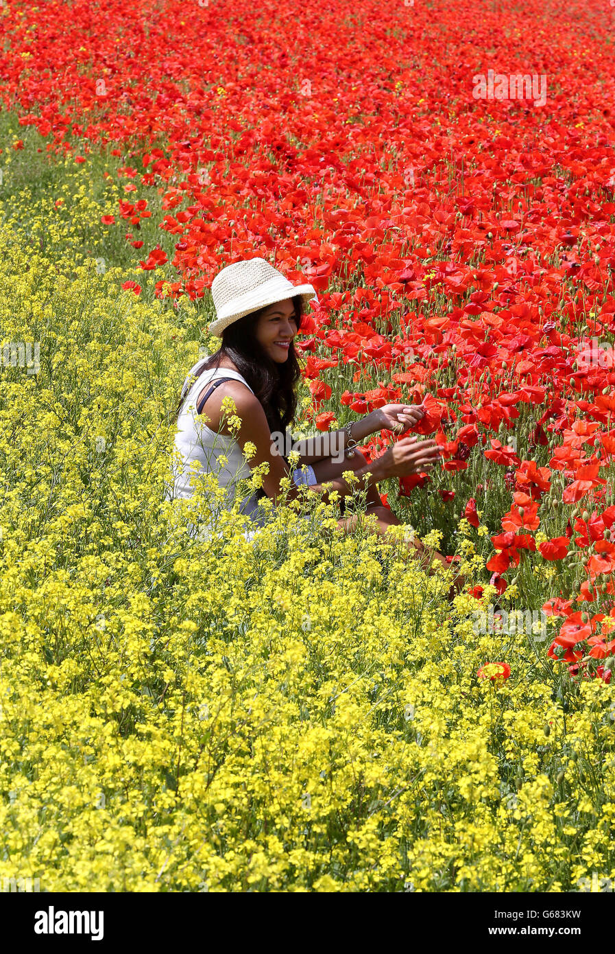 Summer Weather July 5 Stock Photo - Alamy