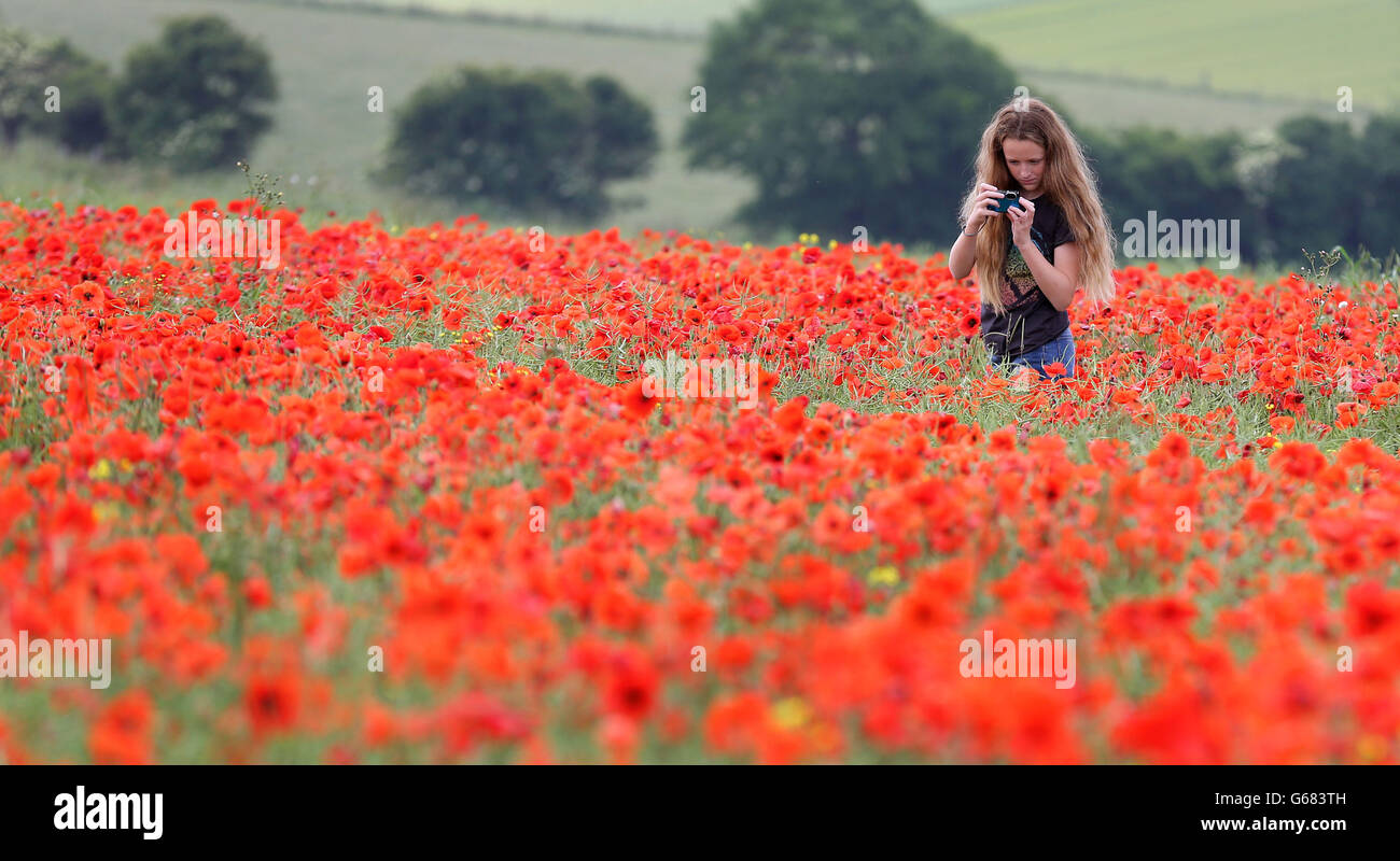 Summer Weather July 5 Stock Photo - Alamy