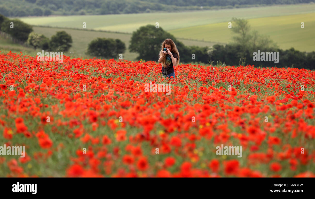 Summer Weather July 5 Stock Photo - Alamy