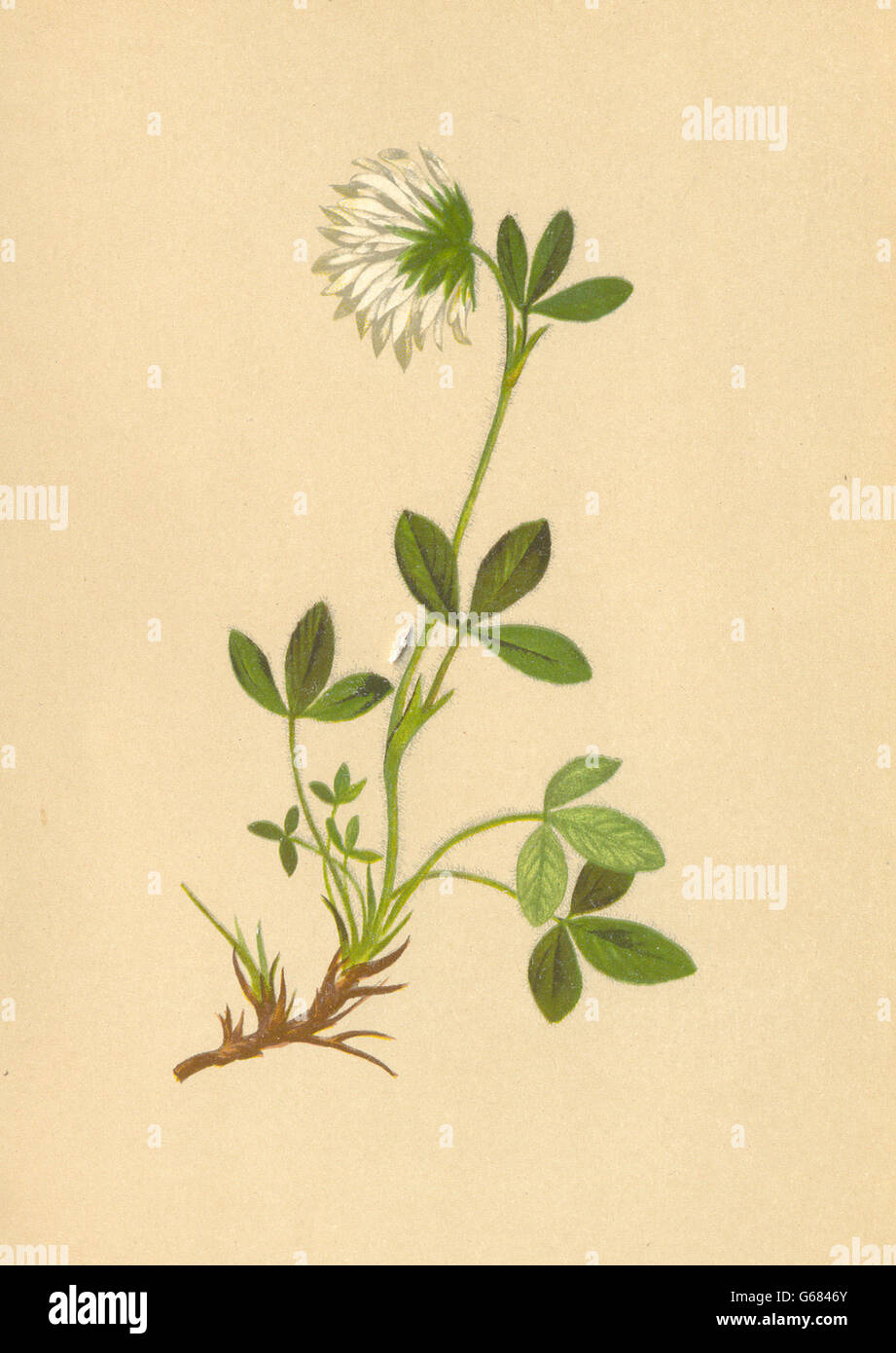 Noricum High Resolution Stock Photography and Images - Alamy