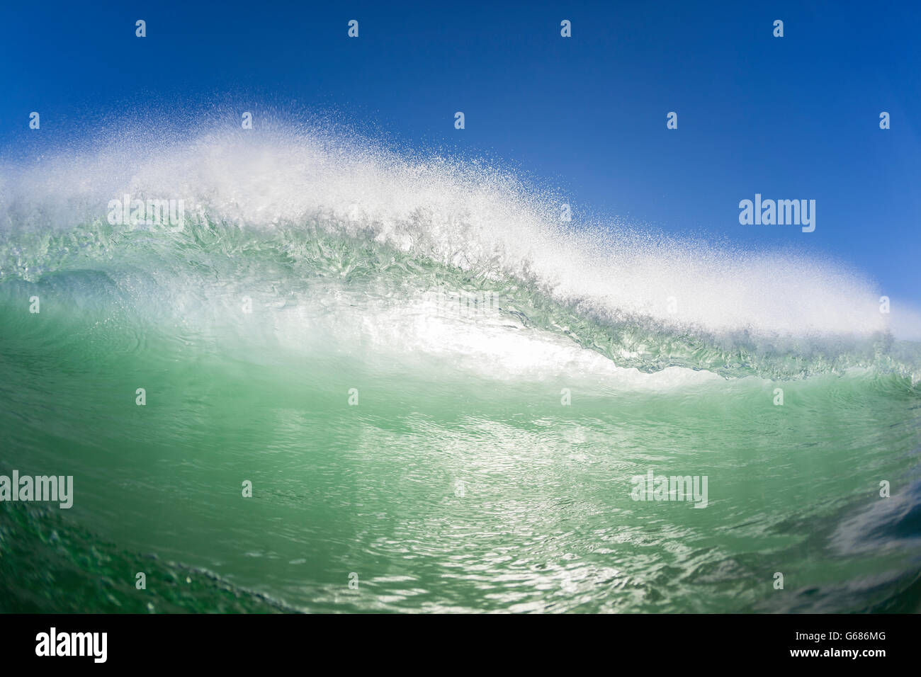 Ocean wave hollow curling crashing closeup swimming inside water photo ...