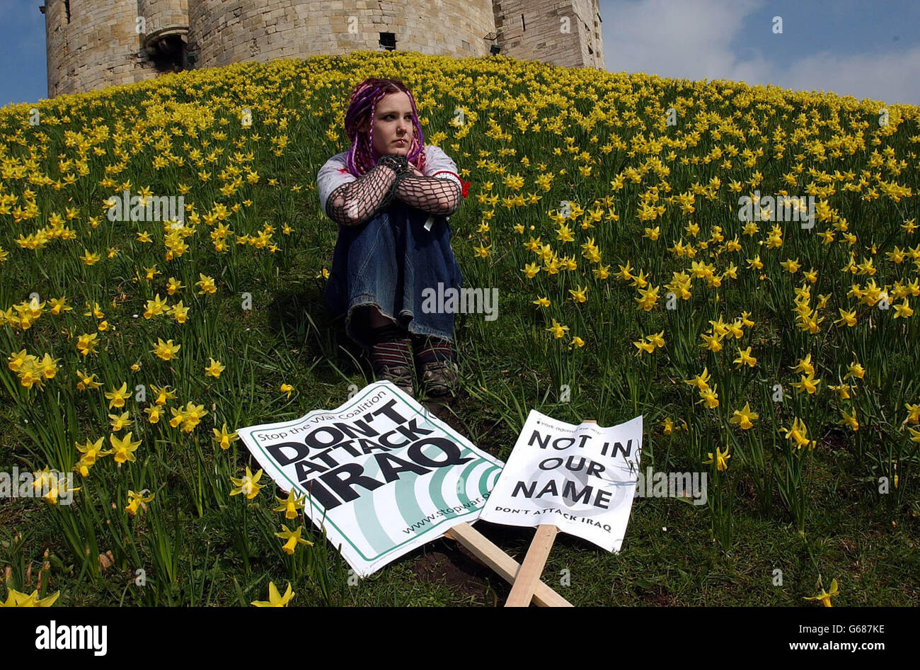 Spring flowers anti war hi-res stock photography and images - Alamy