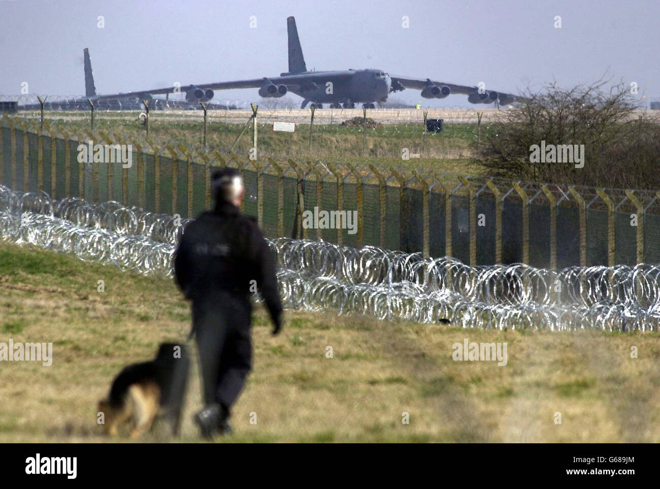 An MoD police officer with his dog Harper inside the freshly laid razor ...