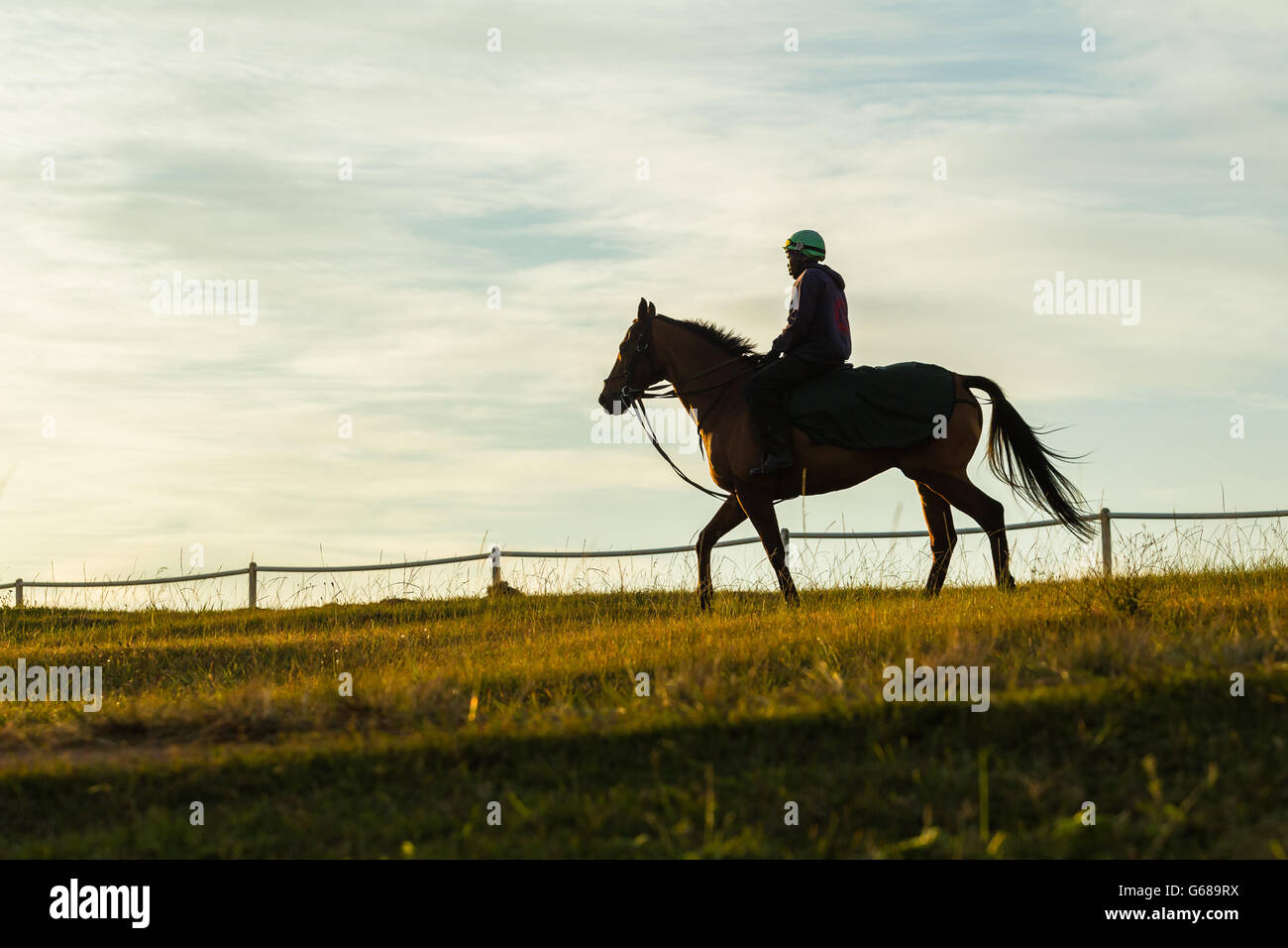 Race Horse rider silhouetted training track countryside dawn morning ...