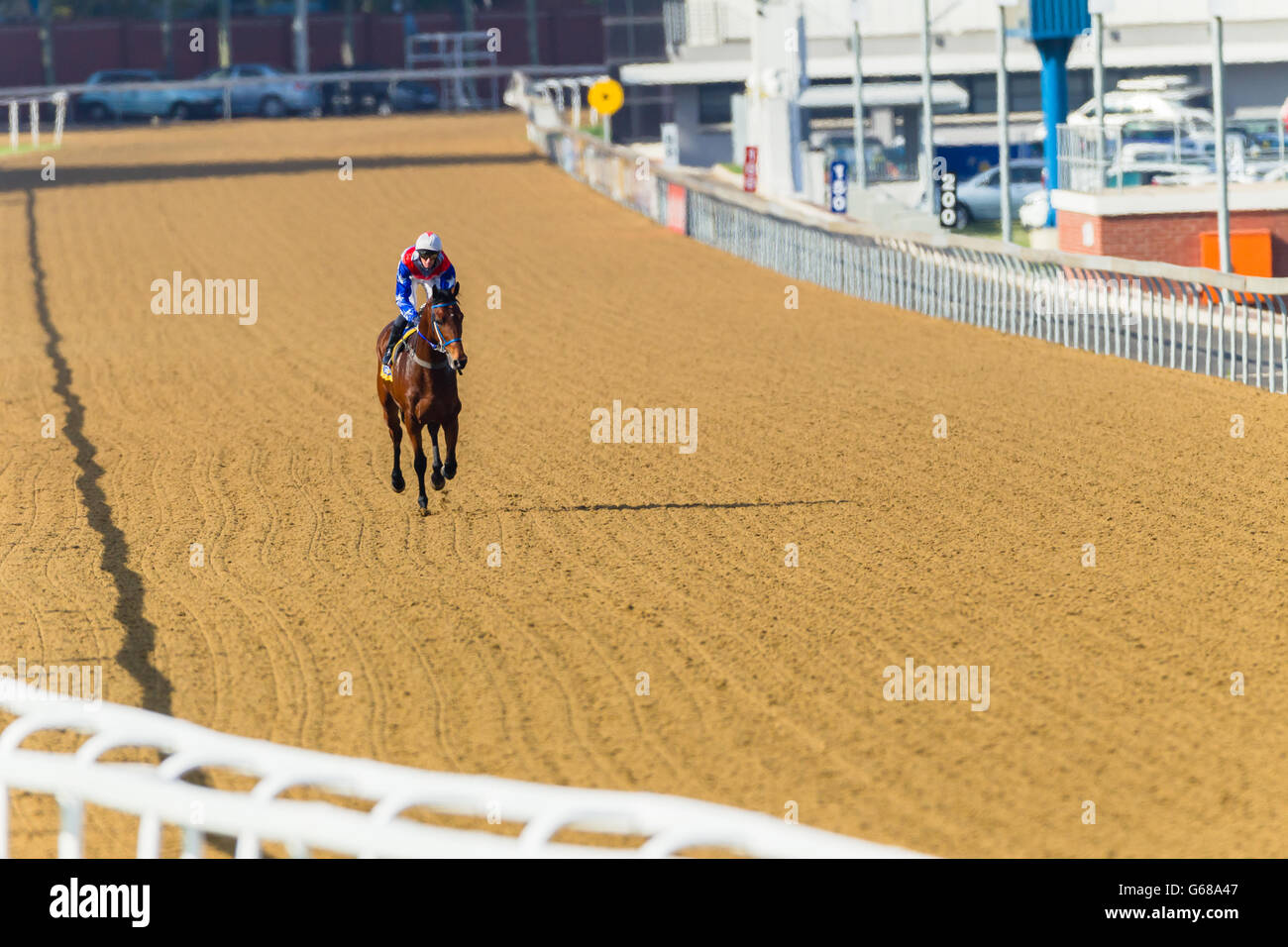 Horses race jockeys riding to start gate polytrack Stock Photo - Alamy
