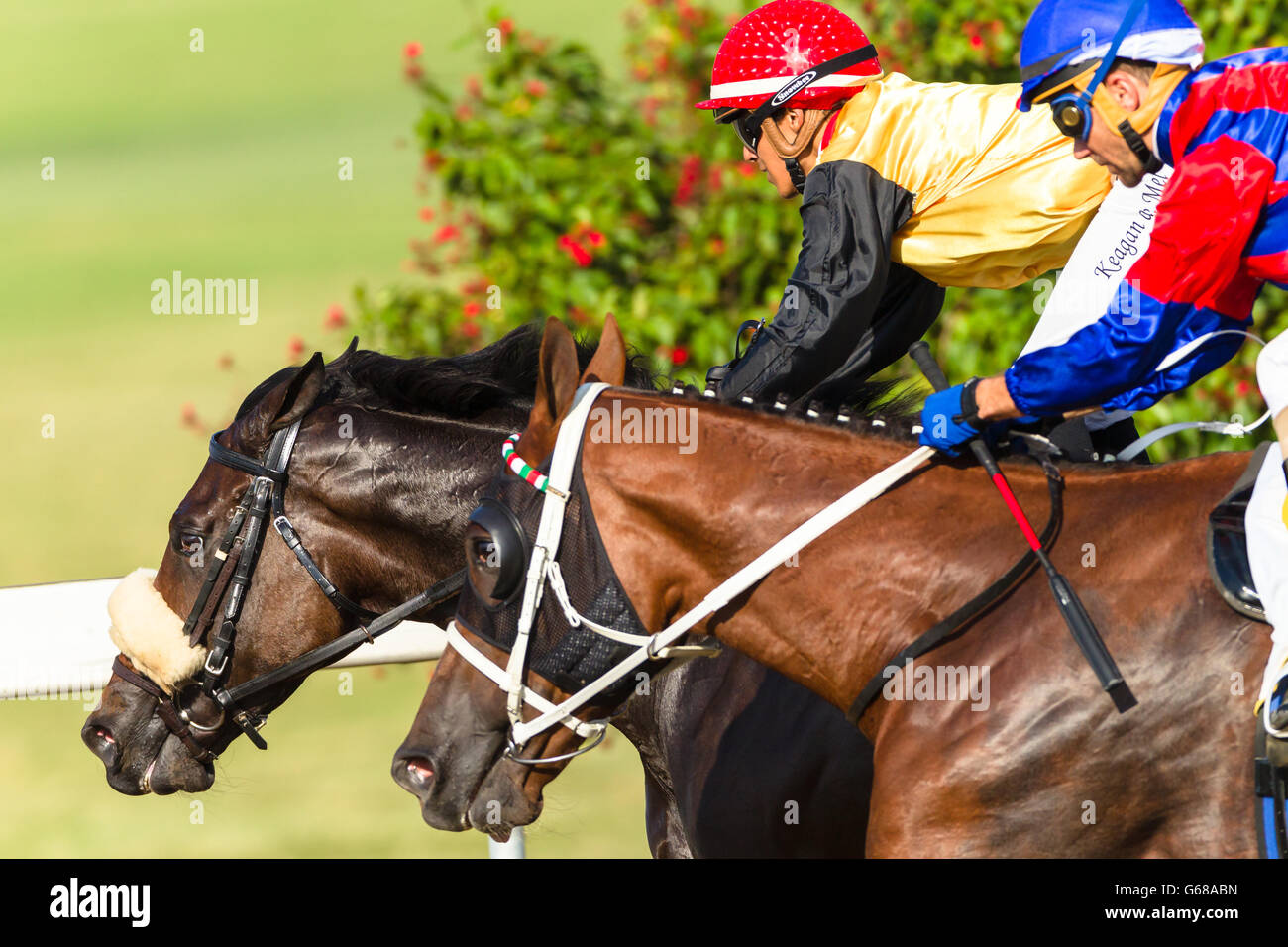 Race jockeys hi-res stock photography and images - Alamy