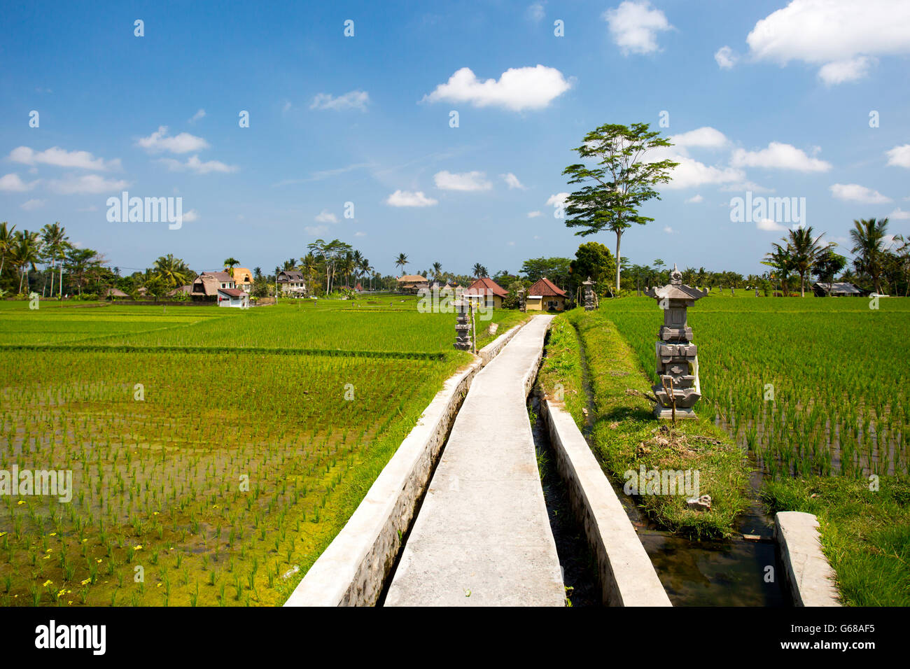 The famous Campuhan Ridge Walk in Ubud, Bali, Indonesia Stock Photo - Alamy
