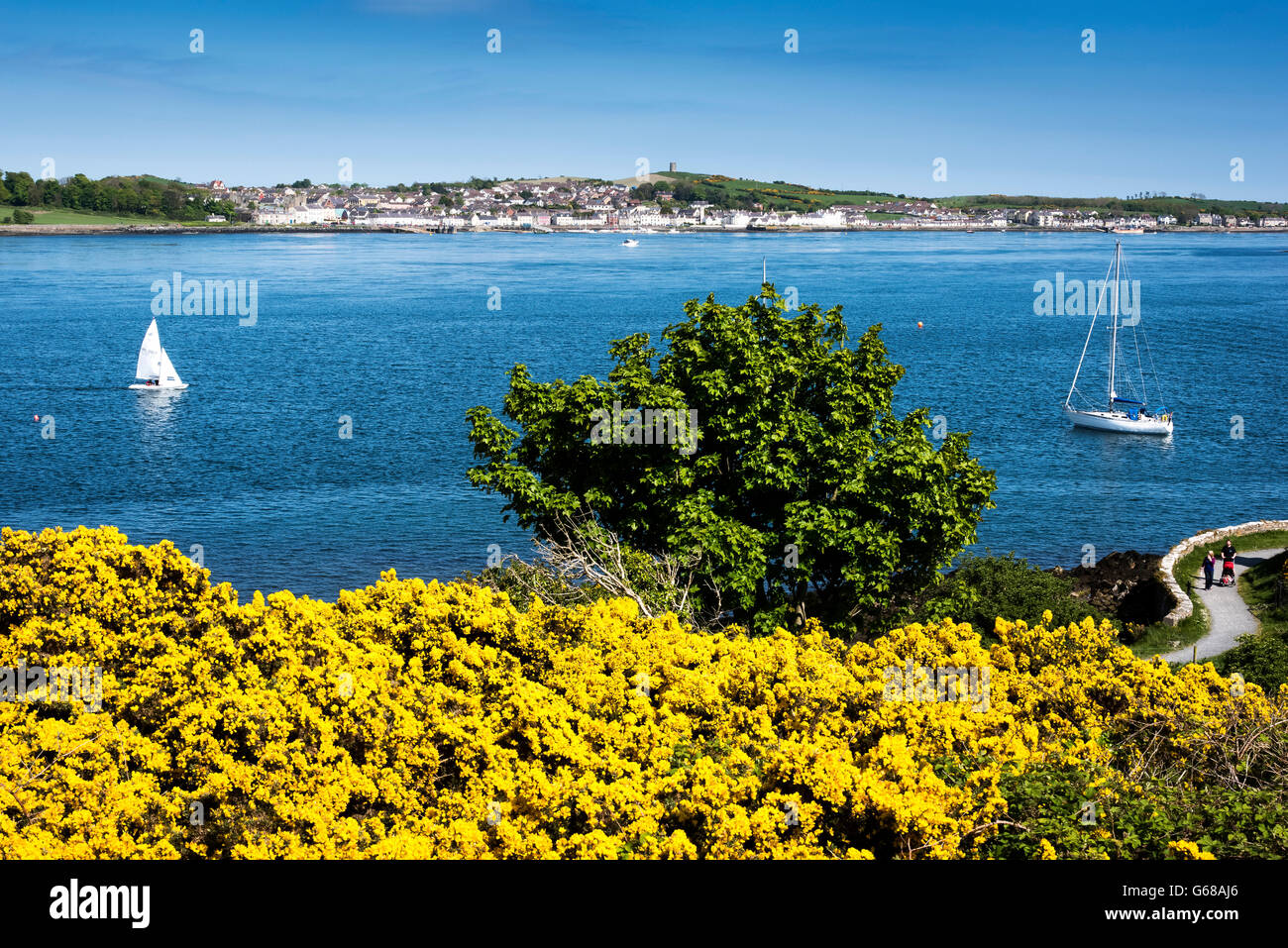 Portaferry from Strangford Lough, Co. Down, Northern Ireland Stock ...
