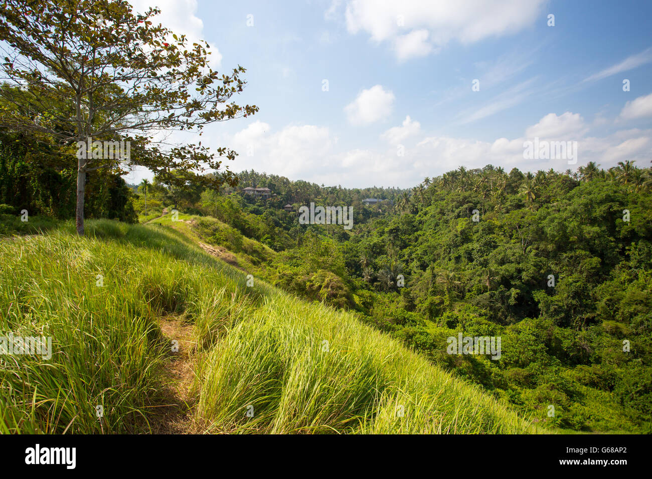 The famous Campuhan Ridge Walk in Ubud, Bali, Indonesia Stock Photo - Alamy