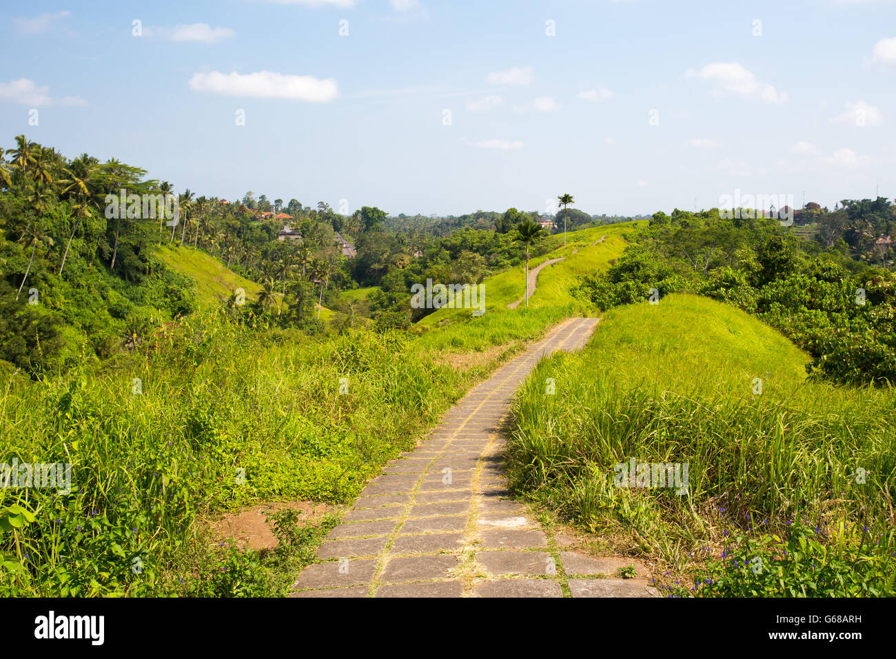 The famous Campuhan Ridge Walk in Ubud, Bali, Indonesia Stock Photo - Alamy