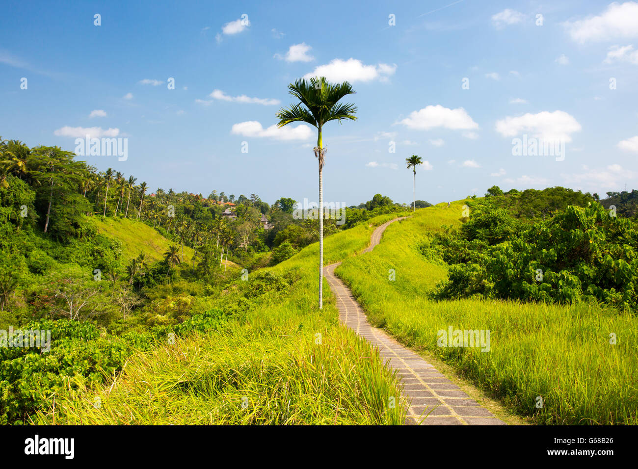 The famous Campuhan Ridge Walk in Ubud, Bali, Indonesia Stock Photo - Alamy