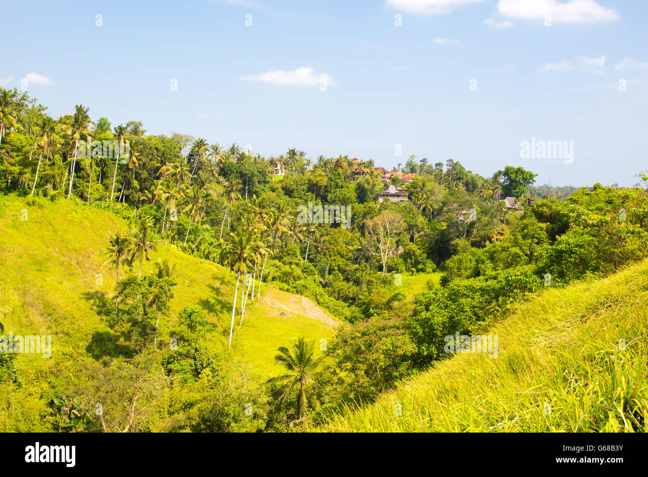 The famous Campuhan Ridge Walk in Ubud, Bali, Indonesia Stock Photo - Alamy