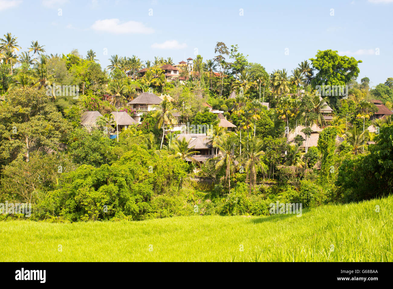 The famous Campuhan Ridge Walk in Ubud, Bali, Indonesia Stock Photo - Alamy