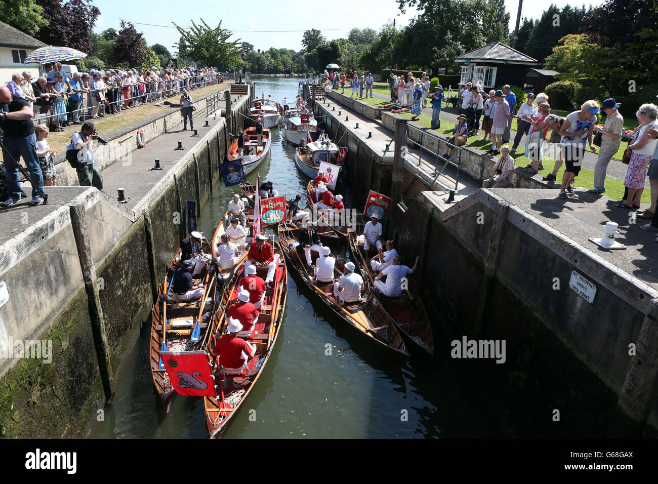 Annual Swan Upping Stock Photo - Alamy