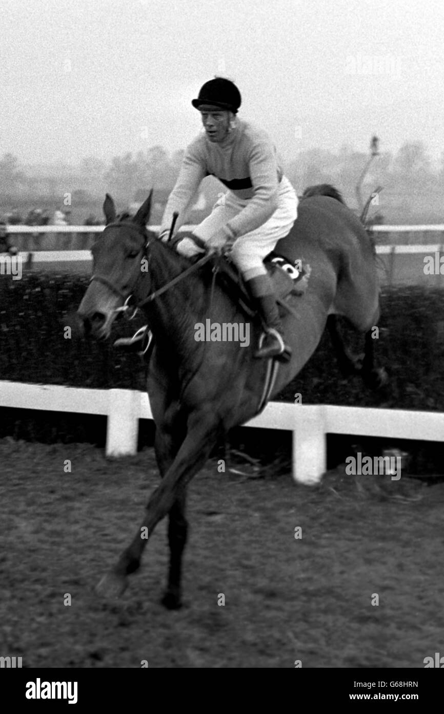 Arkle Black and White Stock Photos & Images - Alamy