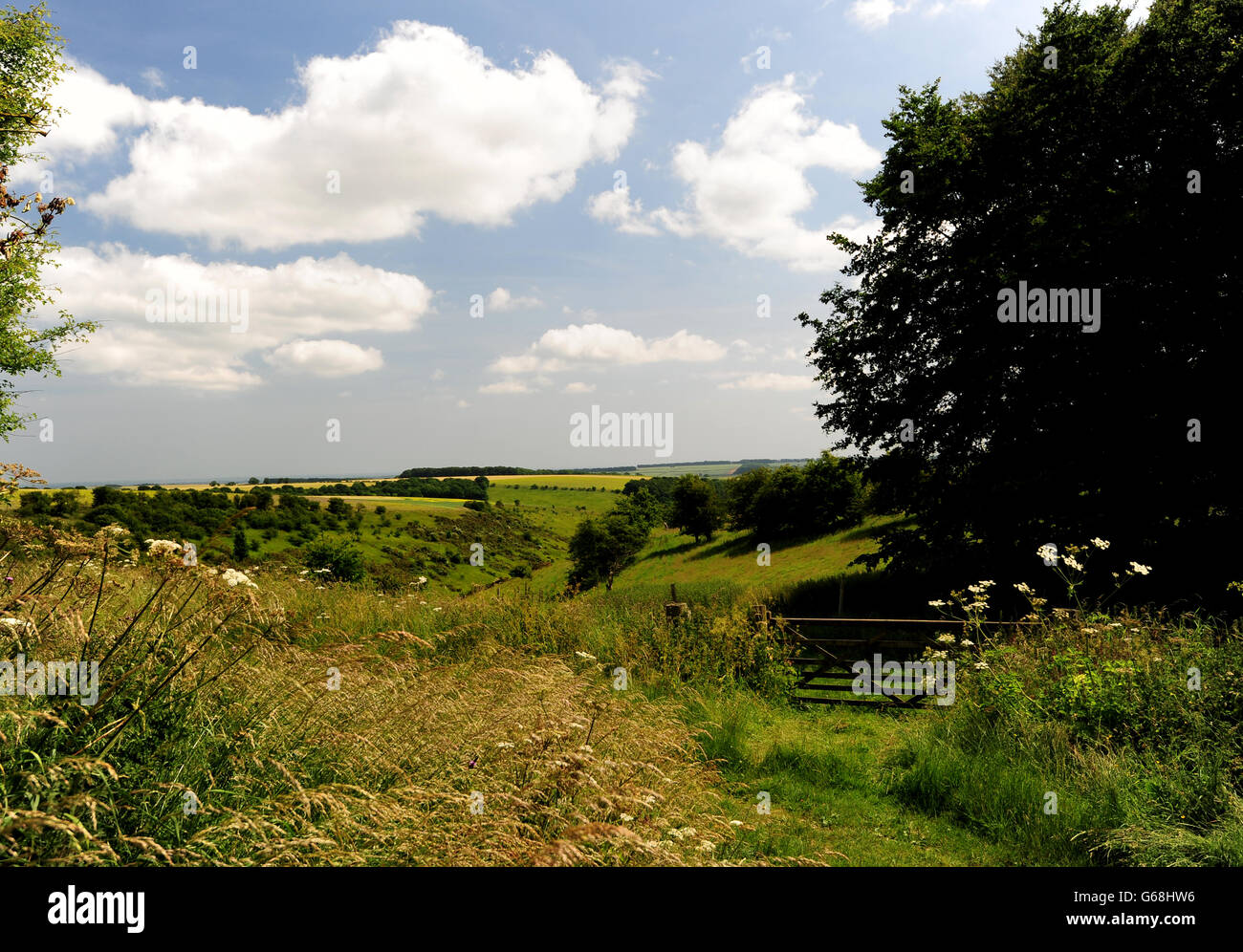 A view of the Yorkshire Wolds, East Yorkshire which could be recognised ...