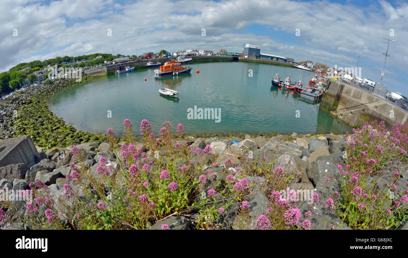Summer in ireland hi-res stock photography and images - Alamy
