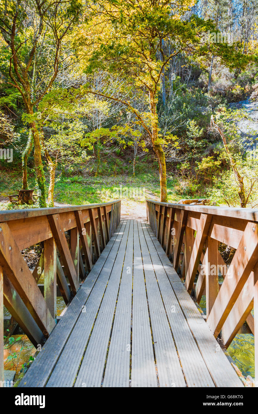 Bridge vanishing into the trees hi-res stock photography and images - Alamy