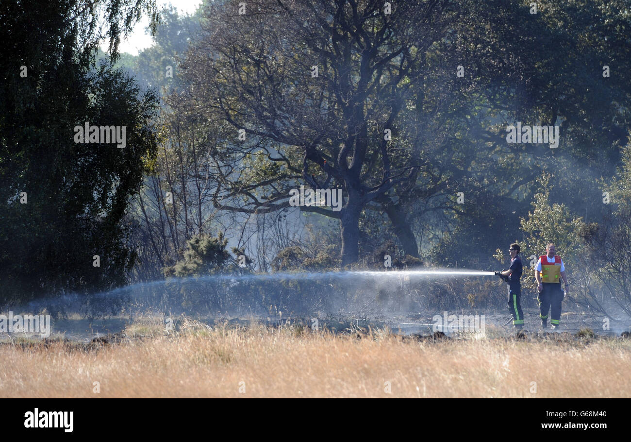 Firefighters tackle a grass fire on the edge of Epping Forest near ...