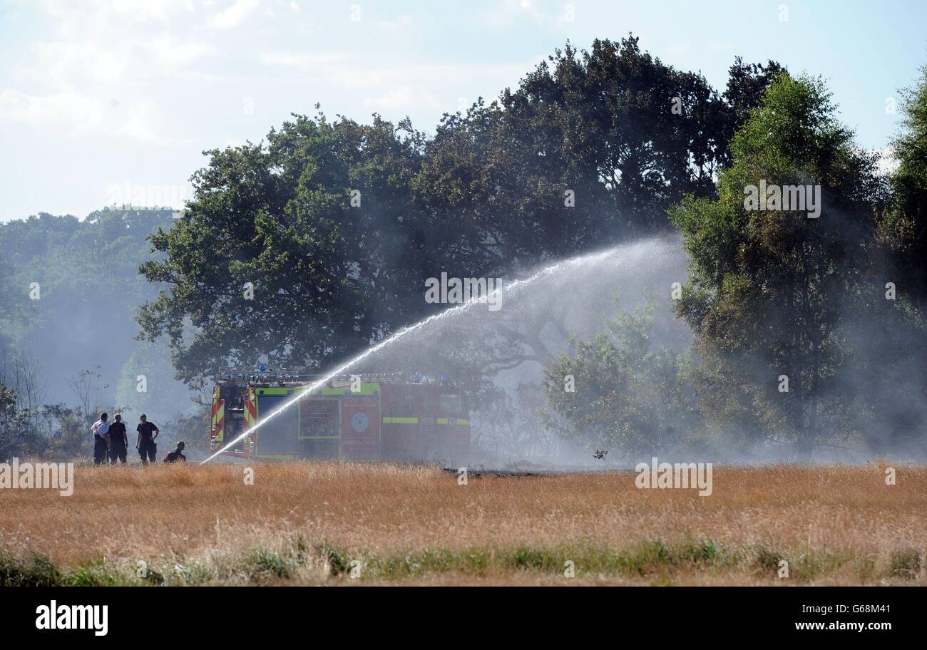 Wanstead fire hi-res stock photography and images - Alamy