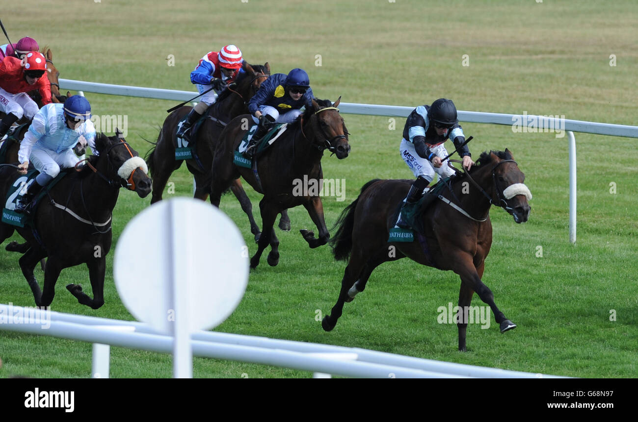 Peniaphobia hi-res stock photography and images - Alamy