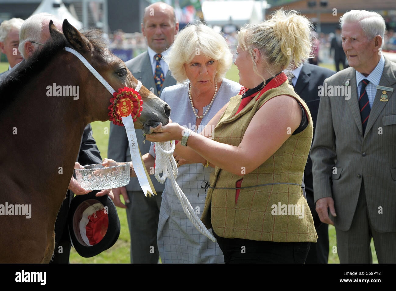 Royal welsh horse show hi-res stock photography and images - Alamy