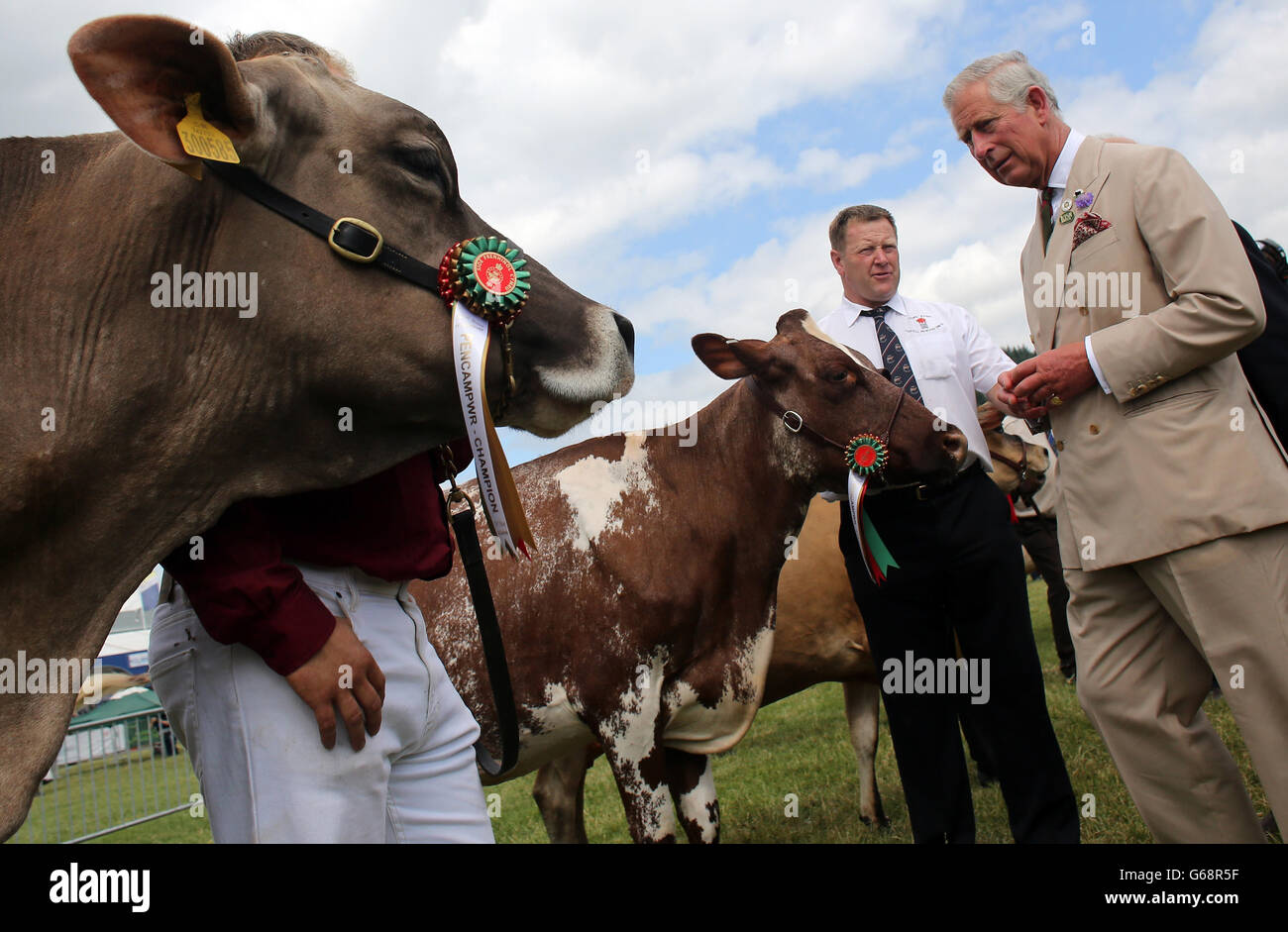 The Prince of Wales views livestock in the show ring as visits the ...