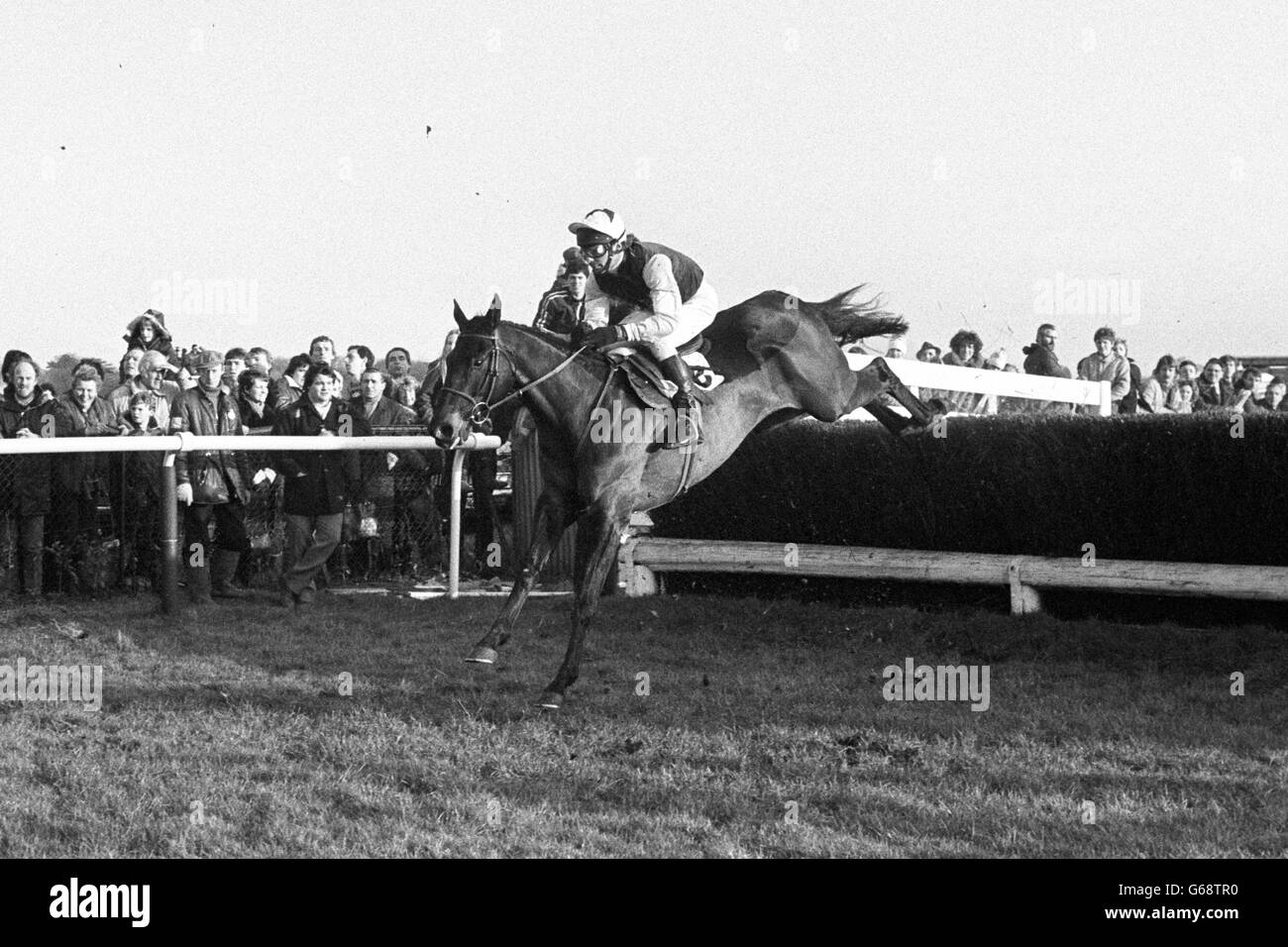 Wayward lad horse hi-res stock photography and images - Alamy