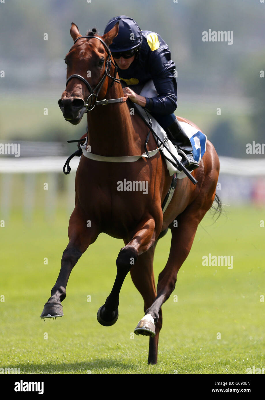 Jockey ryan moore at leicester racecourse hi-res stock photography and ...