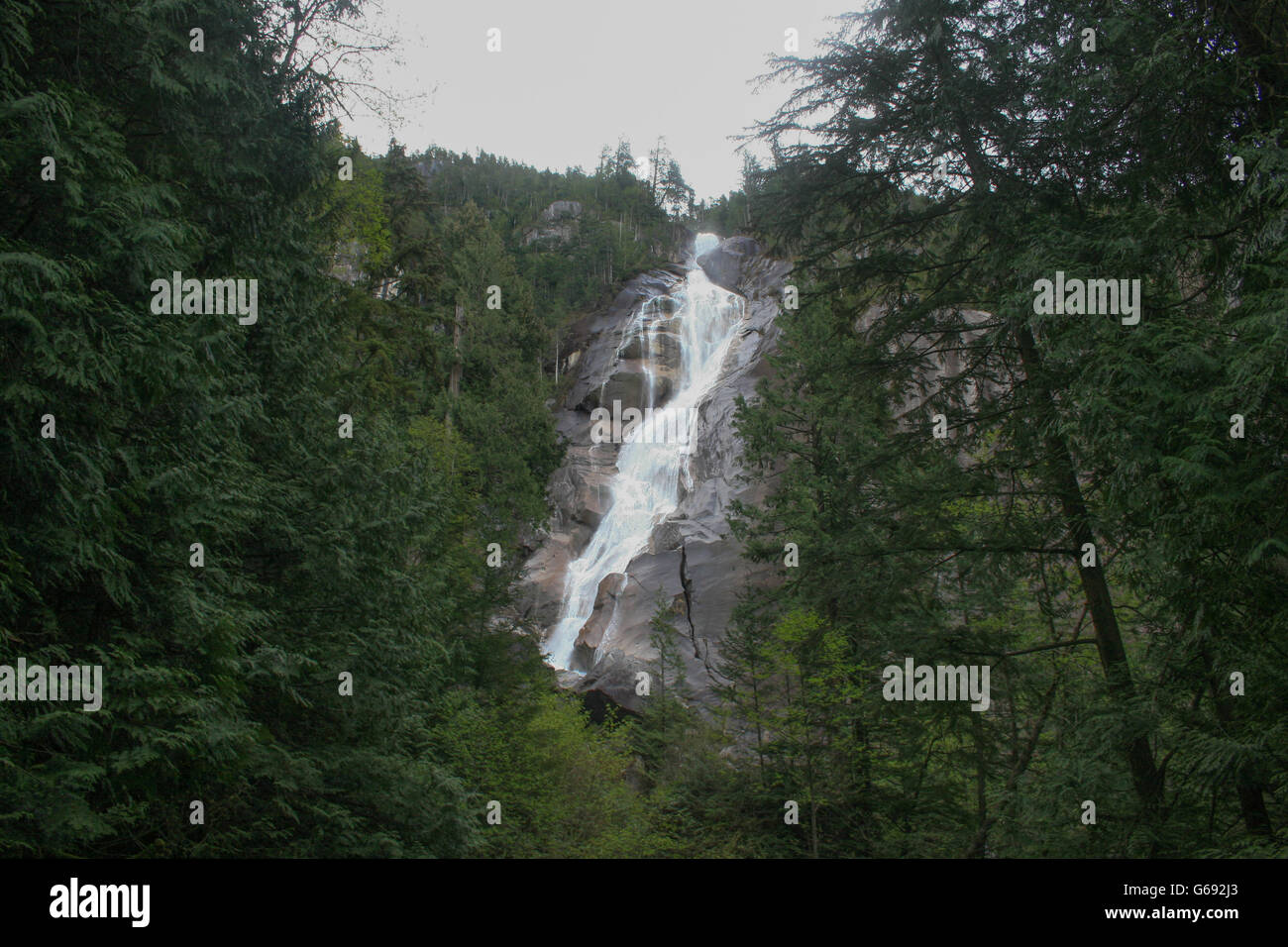 Shannon falls whistler hi-res stock photography and images - Alamy