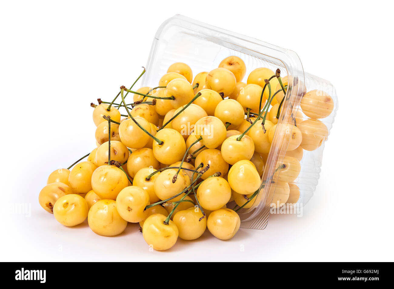 Box or punnet and spilled fresh ripe organic white cherries isolated on ...