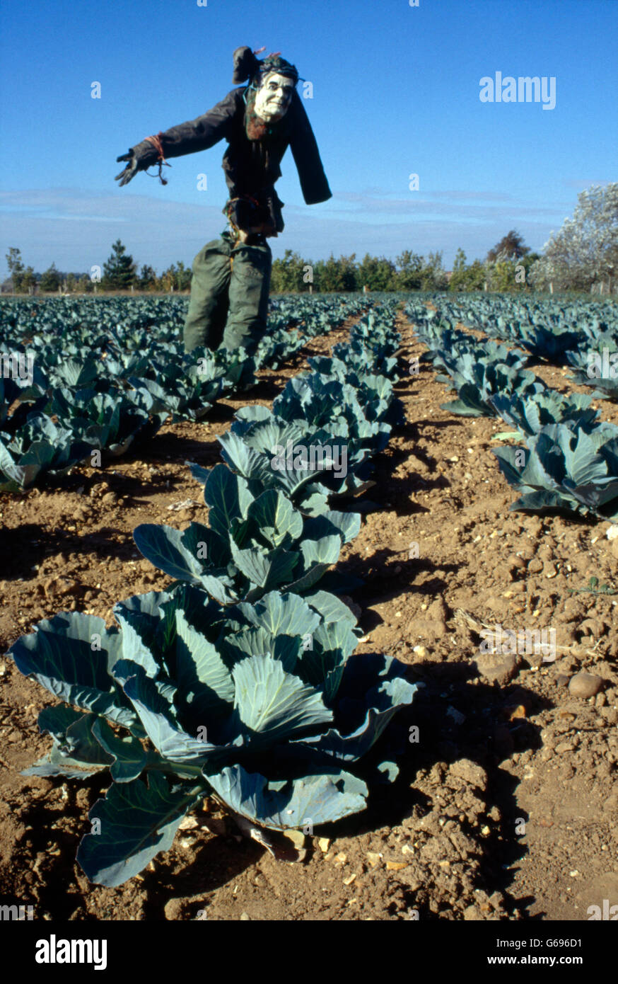 Colin garratt hi-res stock photography and images - Alamy