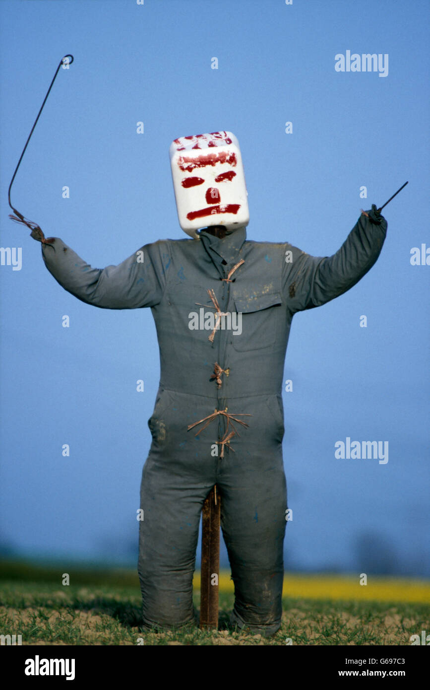 Scarecrow in the English landscape by Colin Garratt Stock Photo - Alamy