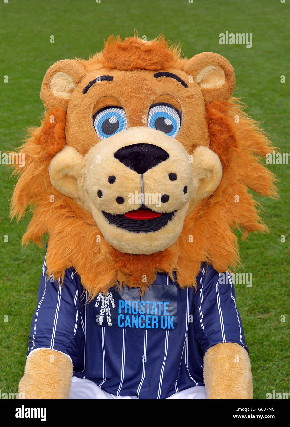 Lion millwall mascot hi-res stock photography and images - Alamy
