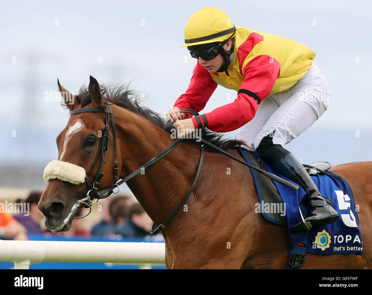 Jockey Colin Keane celebrates winning The Topaz Mile Handicap onBrendan ...