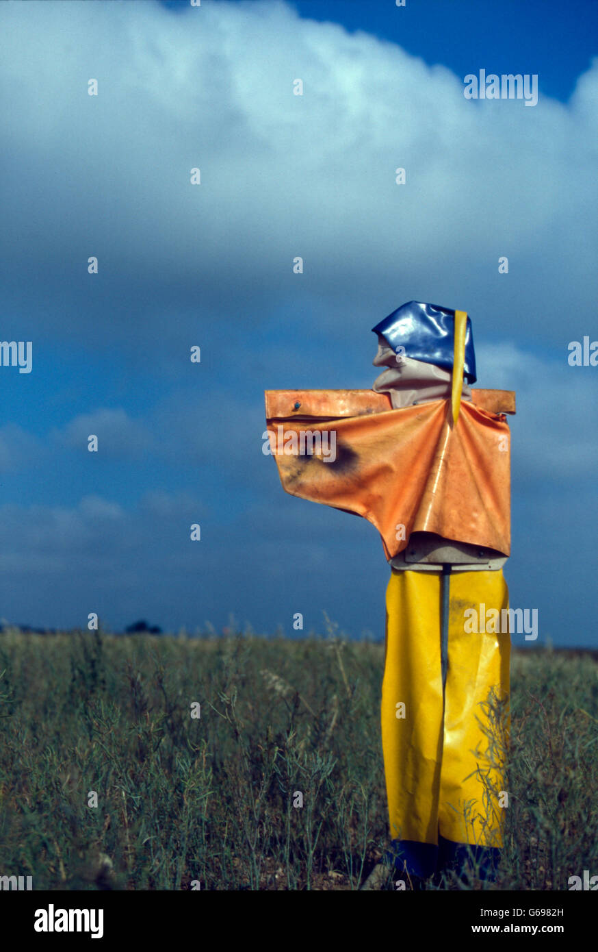 Scarecrow in the English landscape by Colin Garratt Stock Photo - Alamy