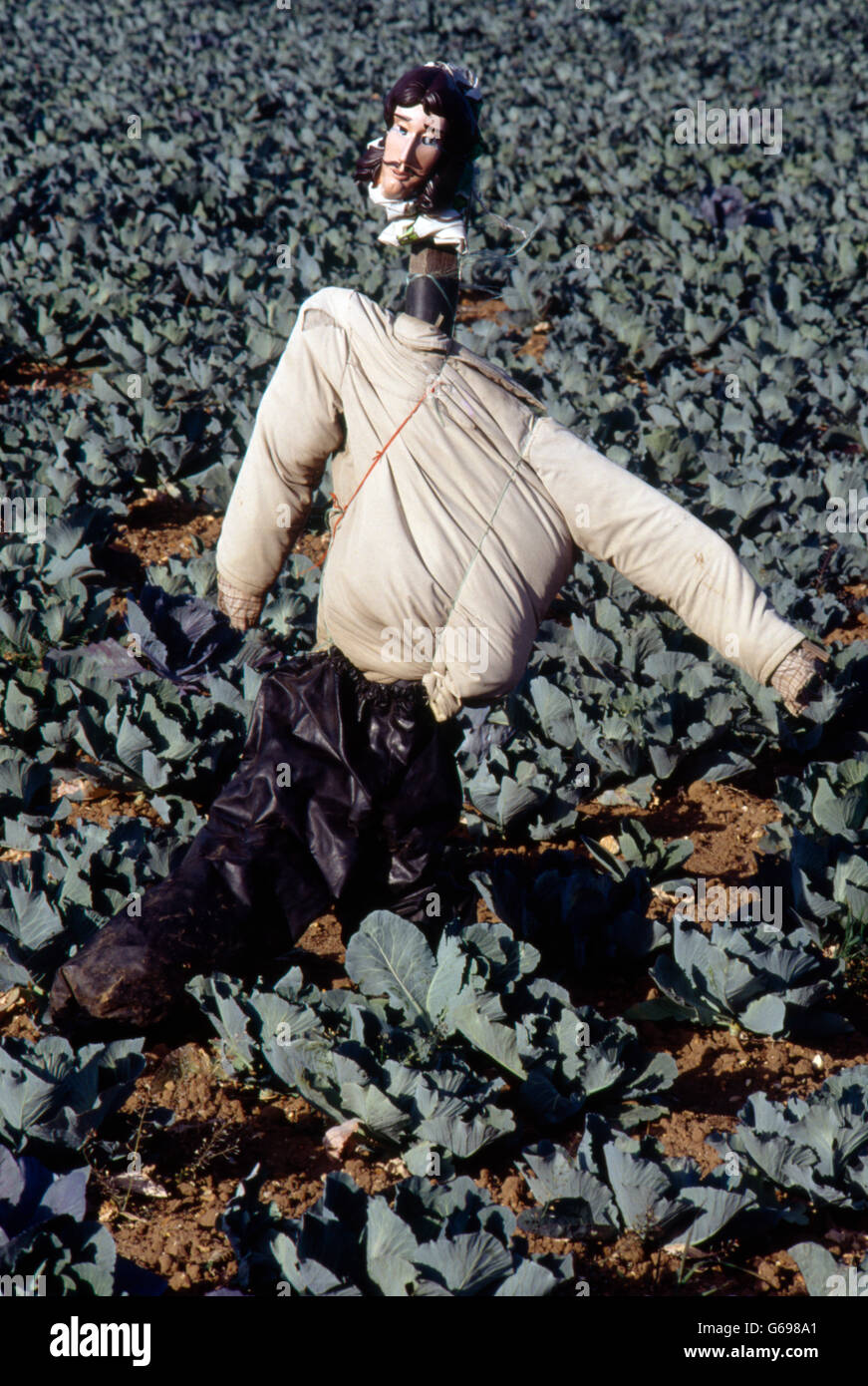 Colin garratt hi-res stock photography and images - Alamy