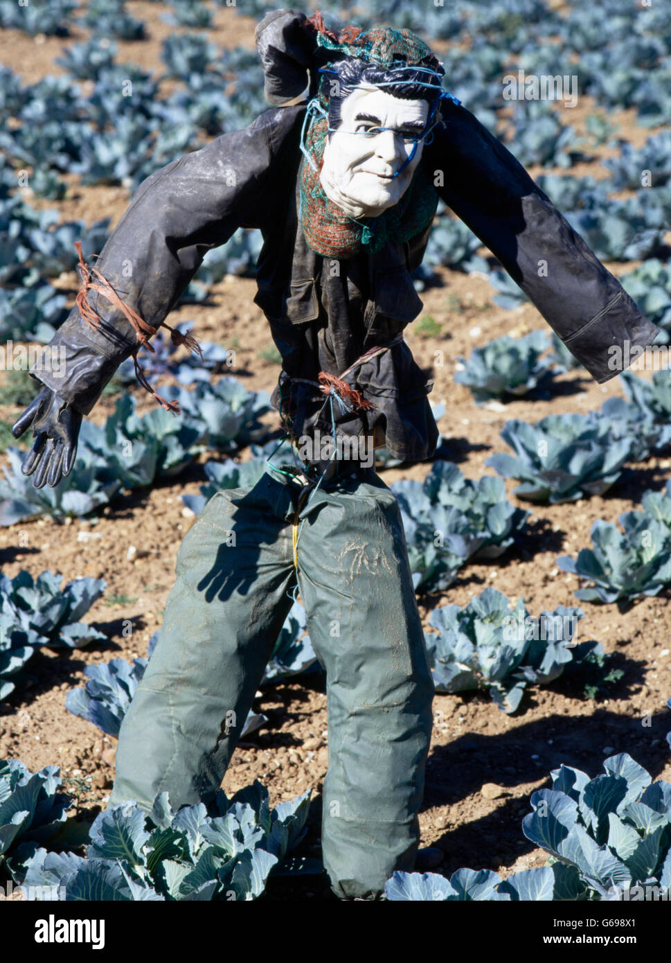 Scarecrow in the English landscape by Colin Garratt Stock Photo - Alamy