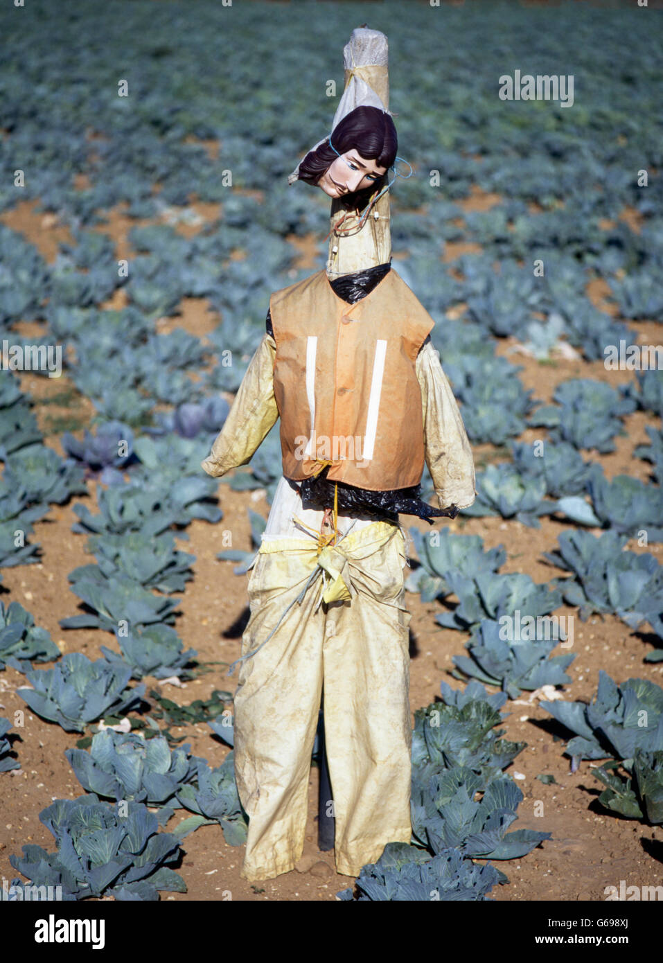 Scarecrow in the English landscape by Colin Garratt Stock Photo - Alamy